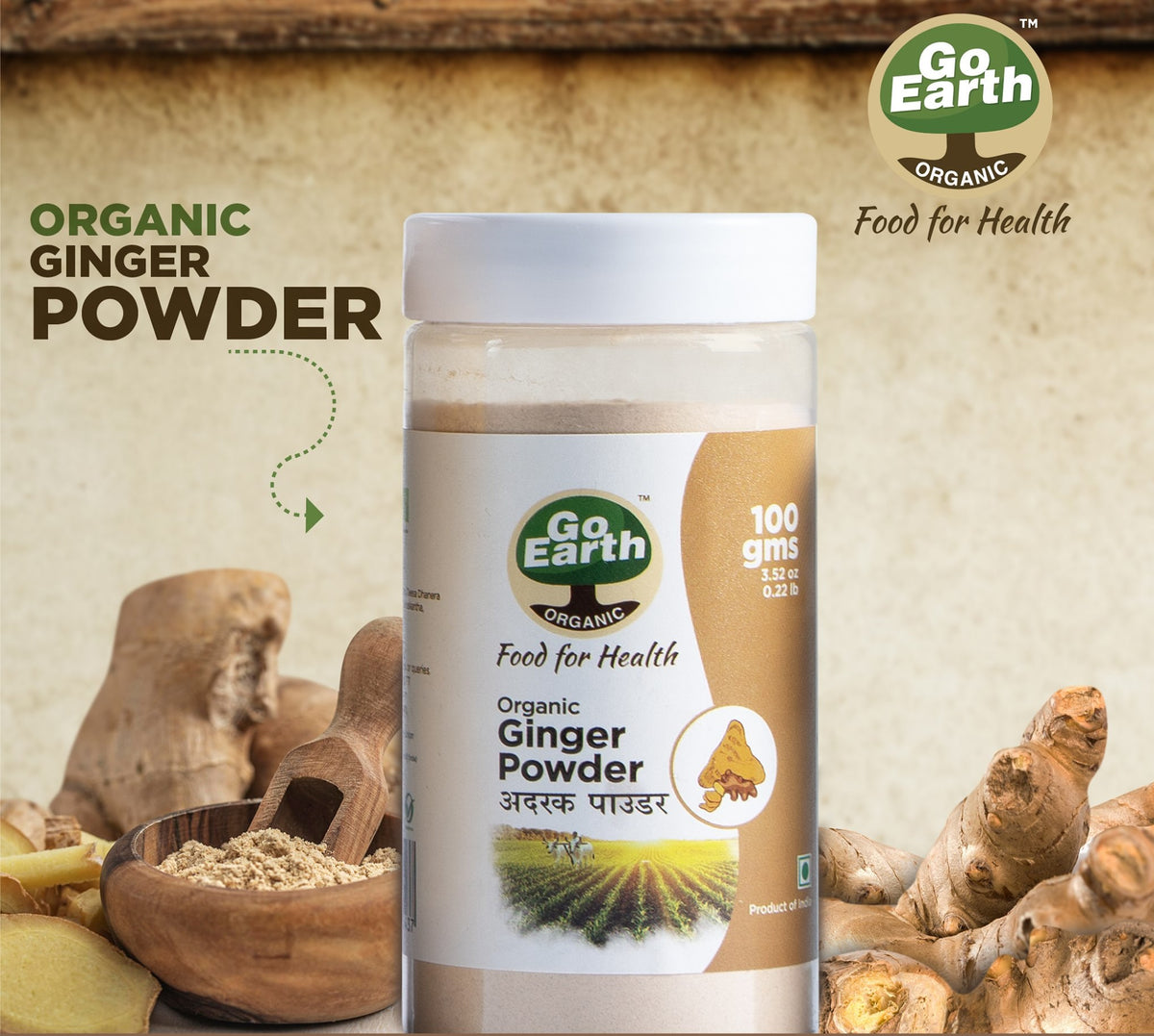 Go Earth Ginger Powder (Sonti Powder) 100g — BasicBrowns